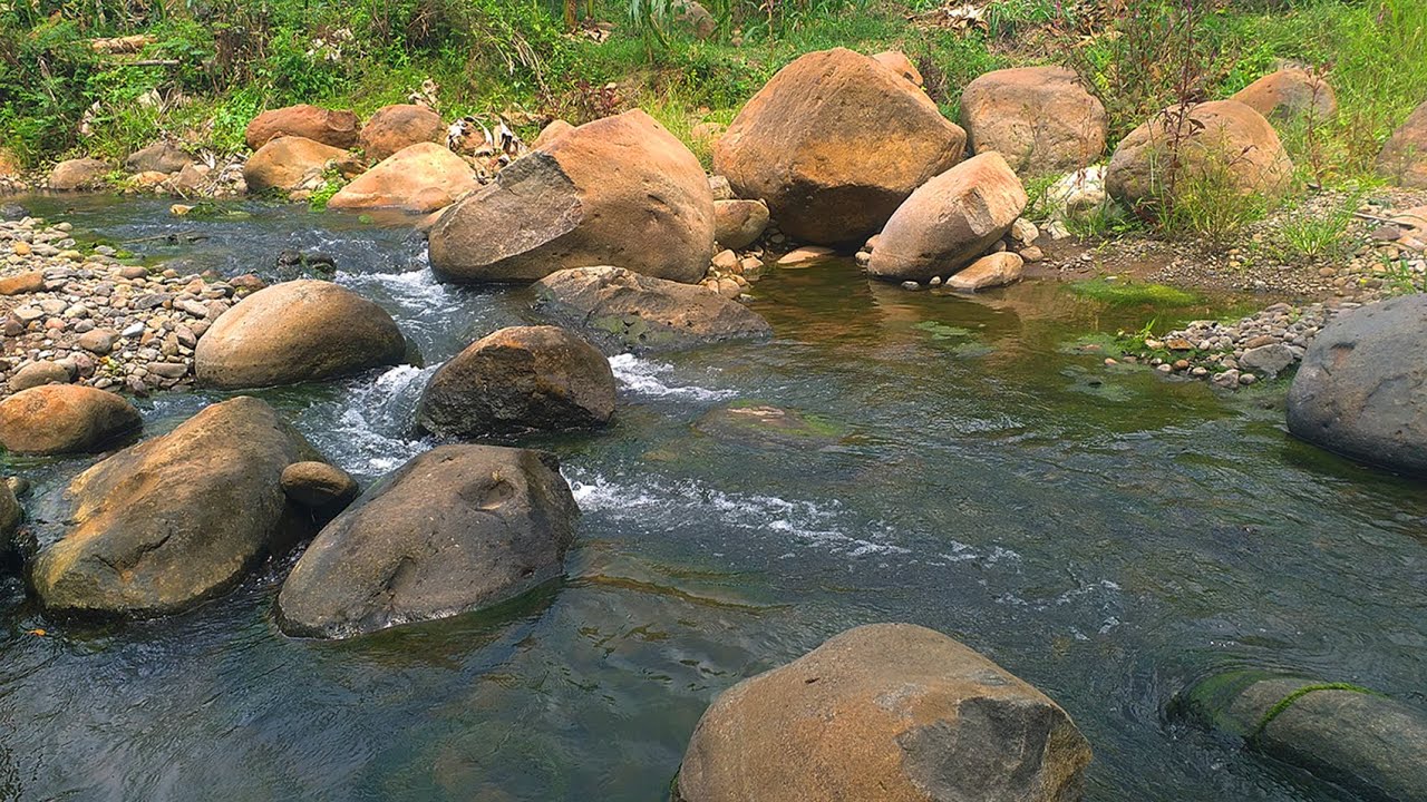Let the Natural Sound of the River Wash Over You, Bringing Peace to ...