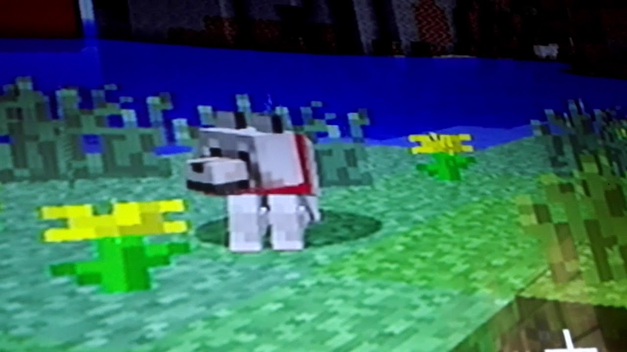Siempre a tu lado hachiko, escena final version minecraft. - YouTube