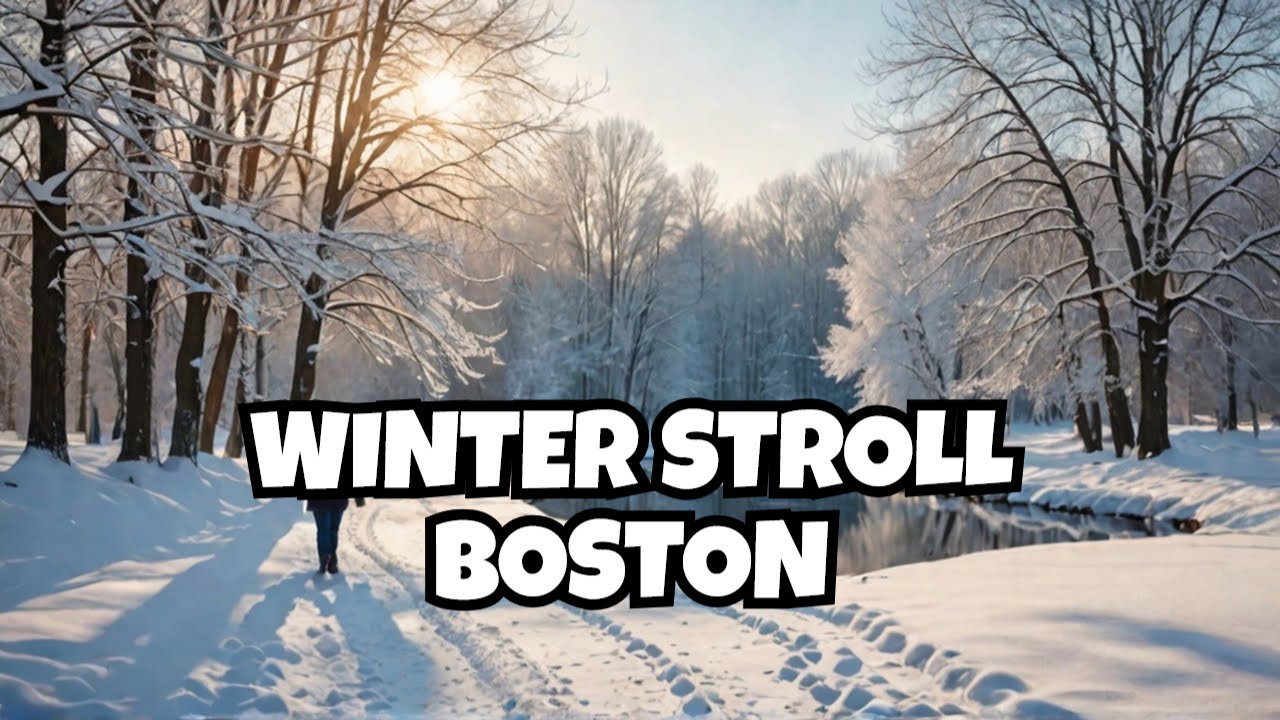 Winter Walking - Jamaica Pond - Boston, Massachusetts - YouTube