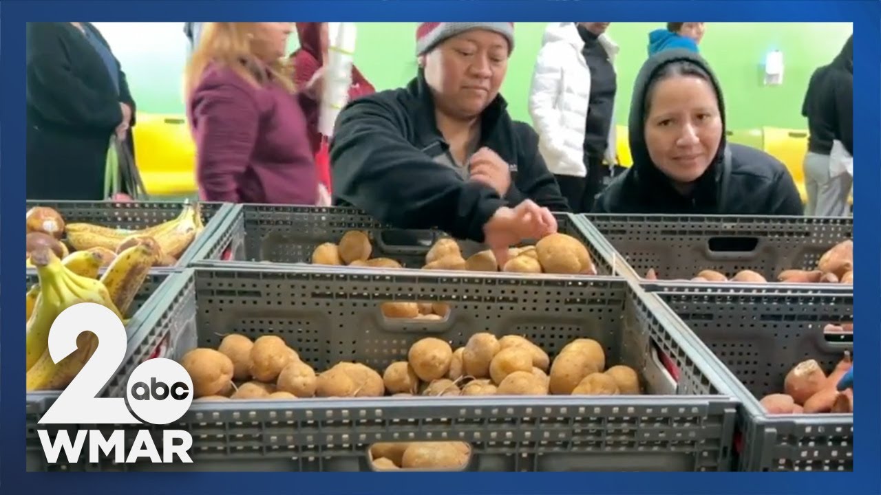 4MyCity is helping over 10,000 people for Thanksgiving - YouTube
