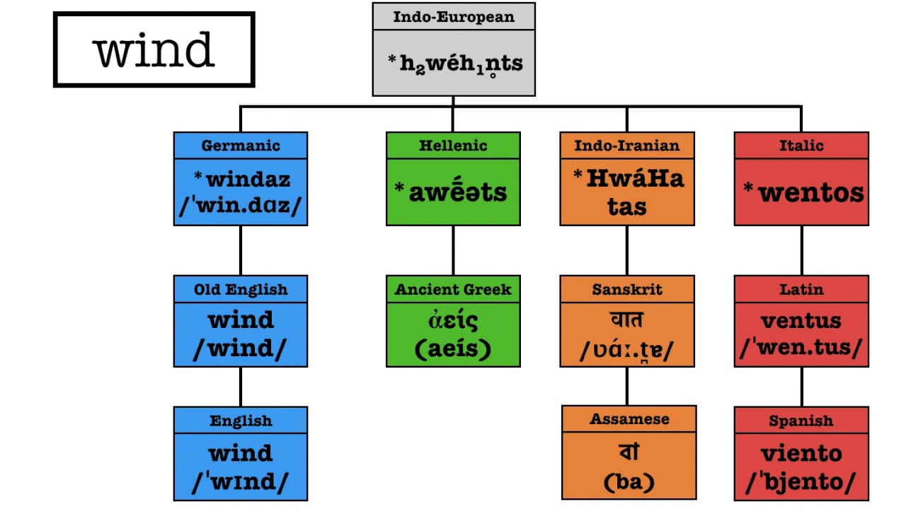 Indo European Languages noun Comparison YouTube indo-european-languages-noun-comparison-youtube
