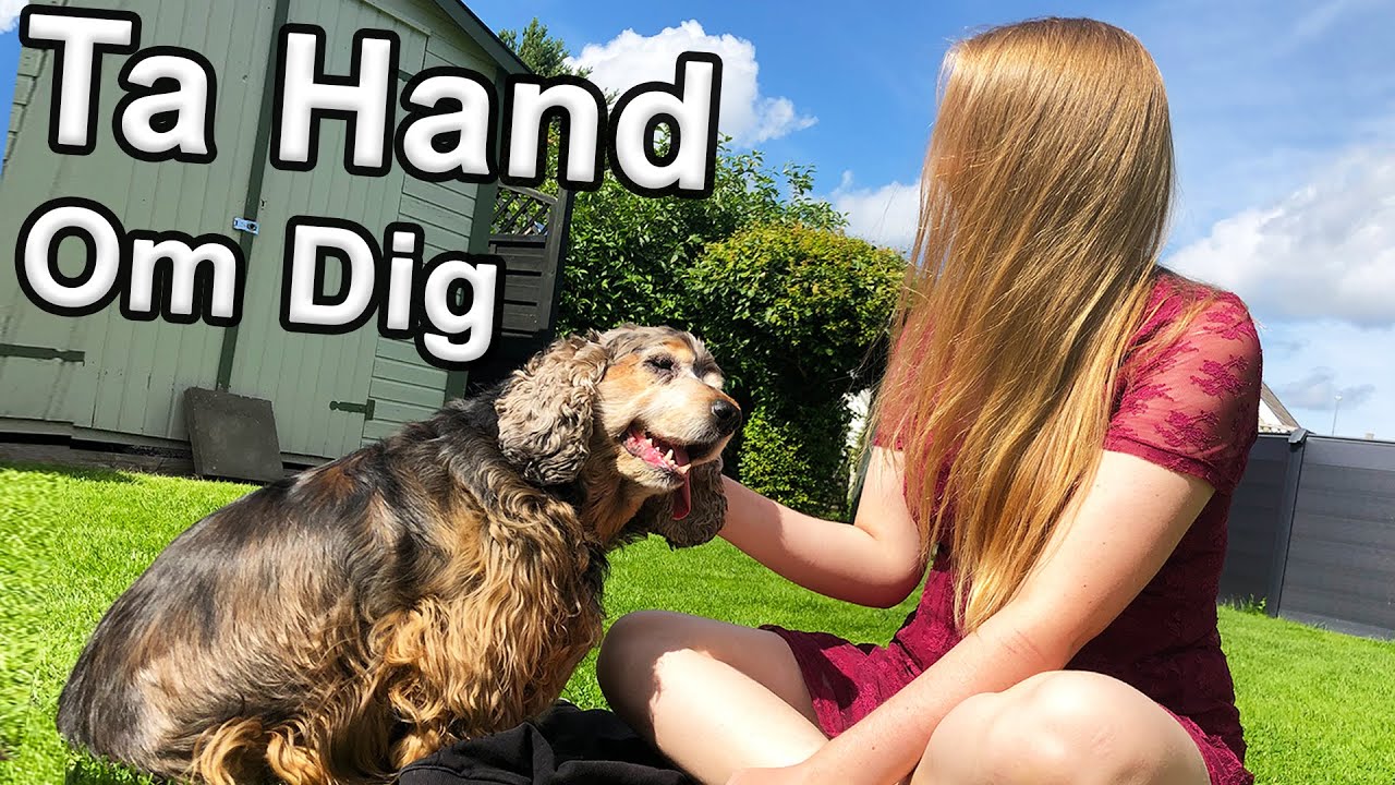 This Is A Sign ️ Ta hand om dig själv ️ - YouTube