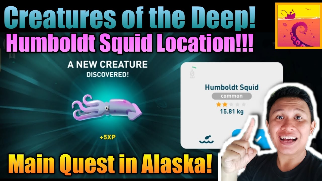 Humboldt Squid Creatures of the Deep Location in Alaska Squid Location ...