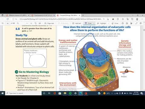 chapter 6 /cell components and microscope /G10 LO2 Bio - YouTube