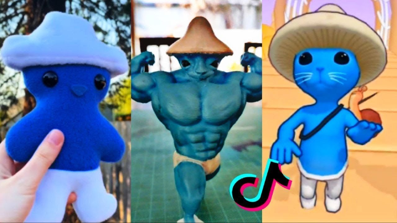 Smurf Cat Meme TikTok Compilation Holy Moly Memes #1 - YouTube