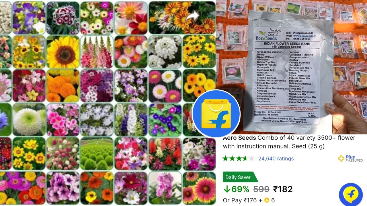 Flipkart Flower Seeds Review | Areo Seeds Combo of 40 Variety Flower🌺 ...