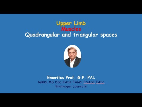 Quadrangular and triangular spaces. - YouTube