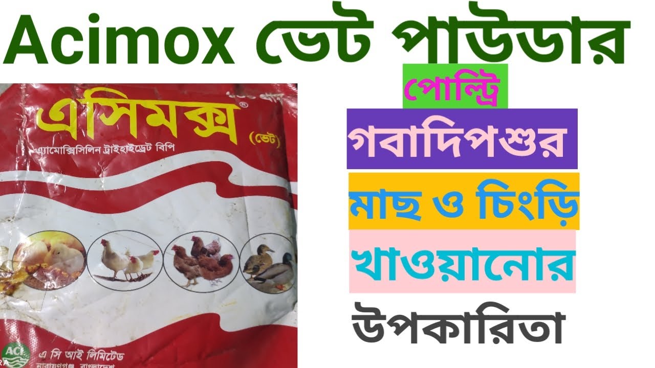Acimox vet powder for poultry cattle & fish এসিমক্স ভেট পাউডার পোল্ট্রি ...