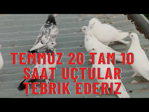 Mığcı Recep Provada 10 SAAT Kuş Uçurdu