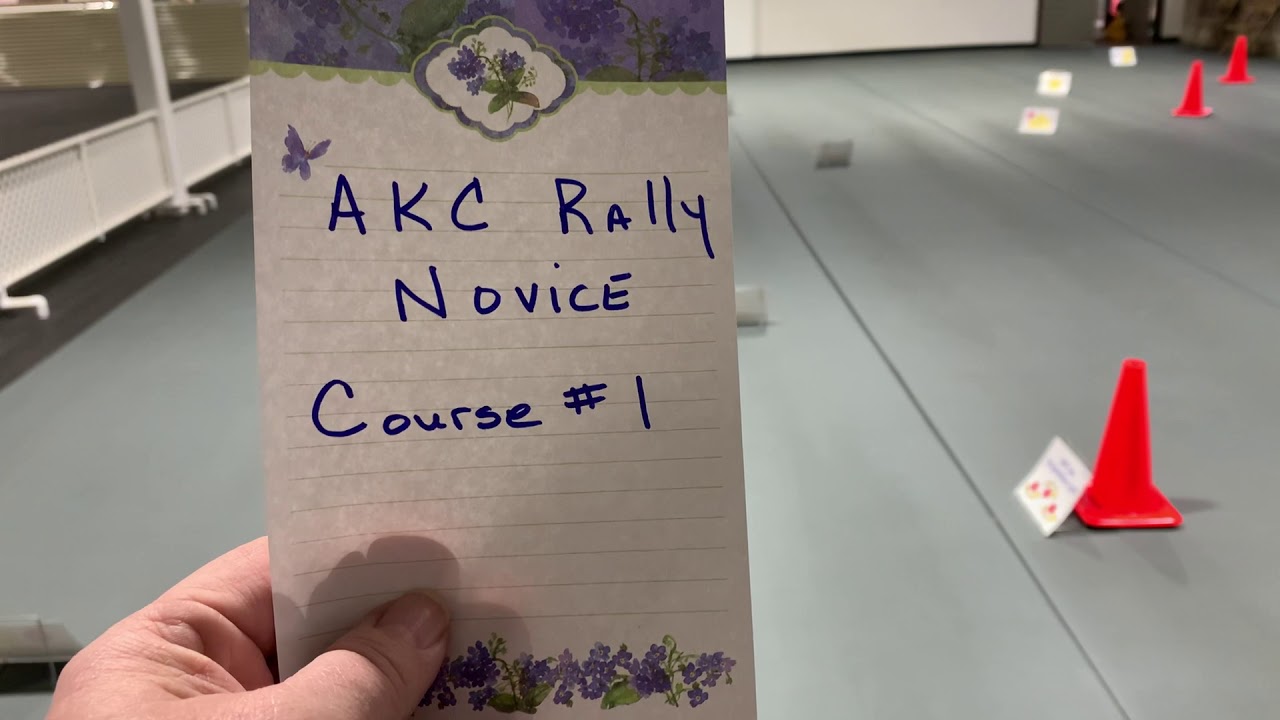 AKC Virtual Rally Novice Course #1 - Rustad - YouTube