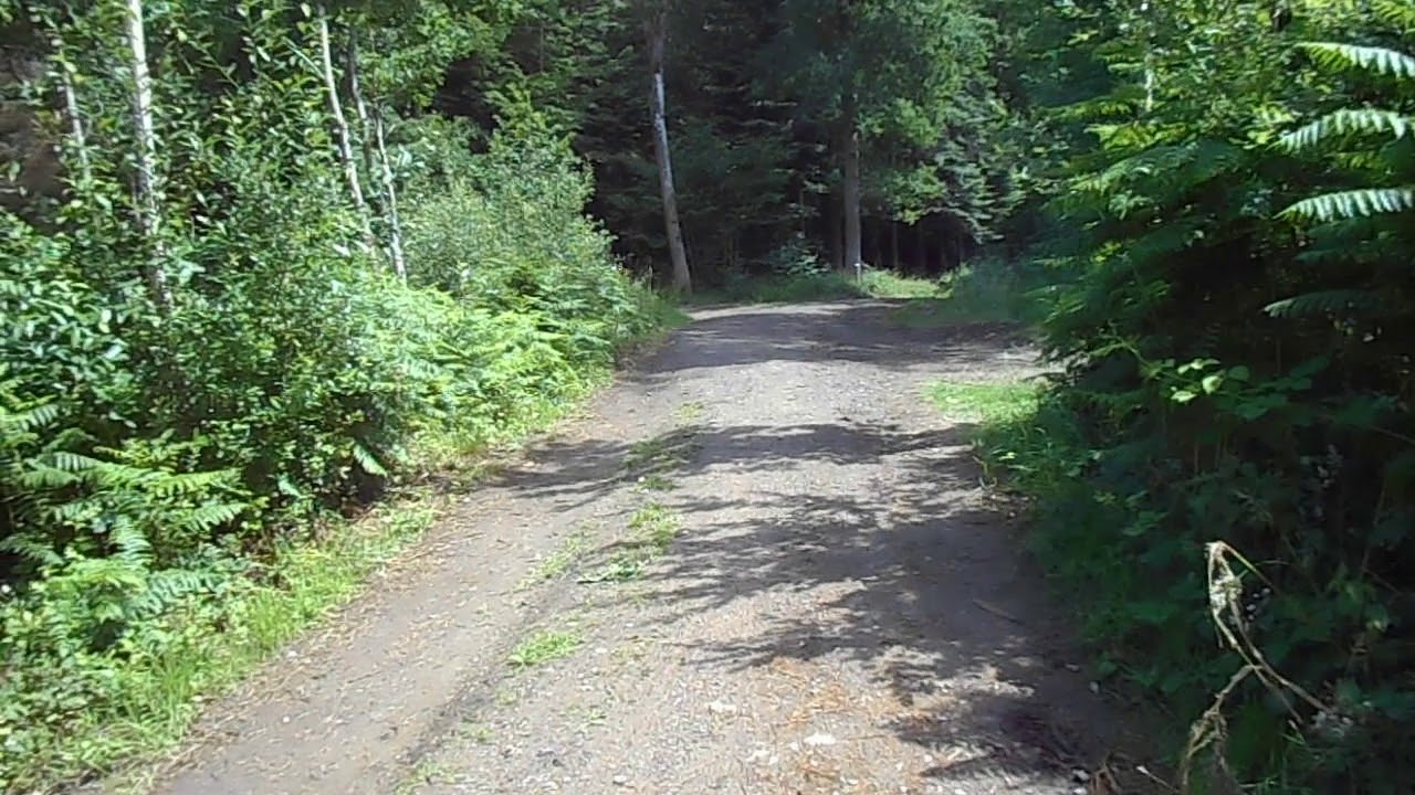 Fence Wood, Cold Ash, walk - YouTube