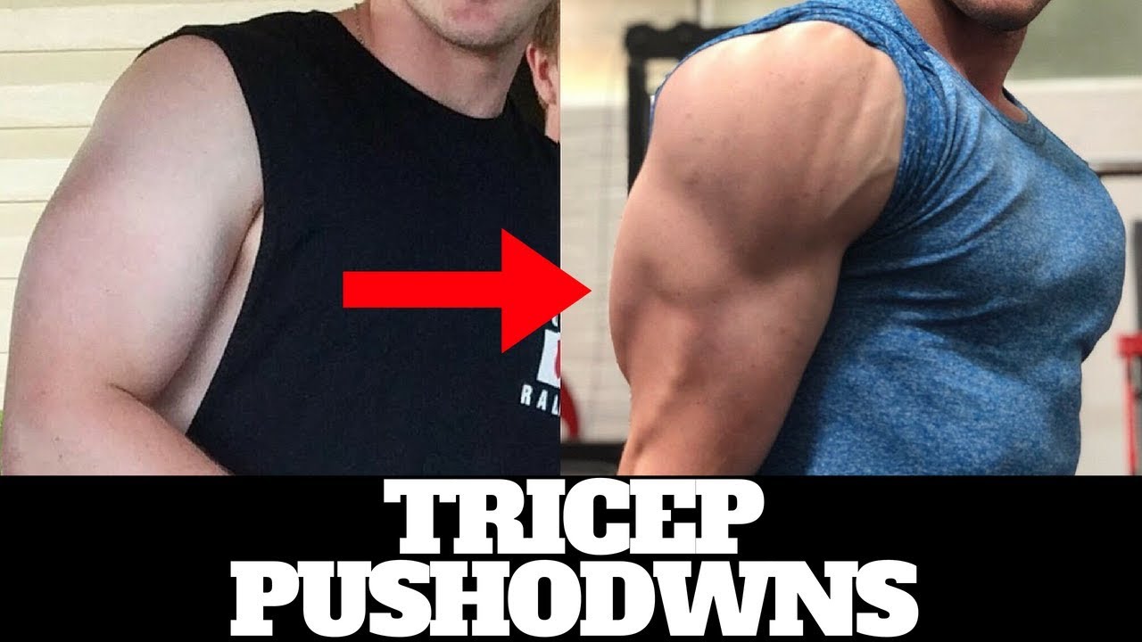 Tricep Pushdowns For Arm Hypertrophy - YouTube