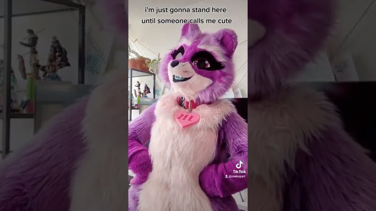 the furry convention experience with zee the raccoon #furryfandom # ...