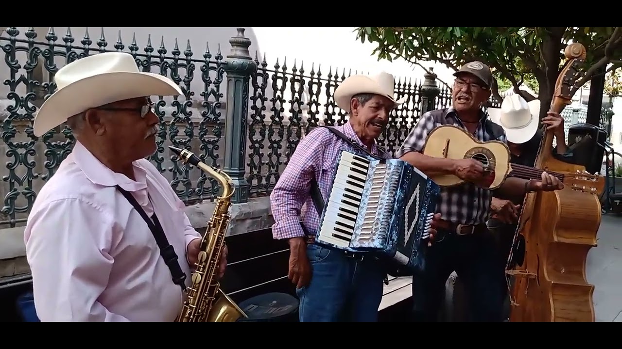 FLOR DEL RIO 🇲🇽NUESTRA TRADICION MEXICANA MÚSICA CAMPIREÑA GRUPO ...