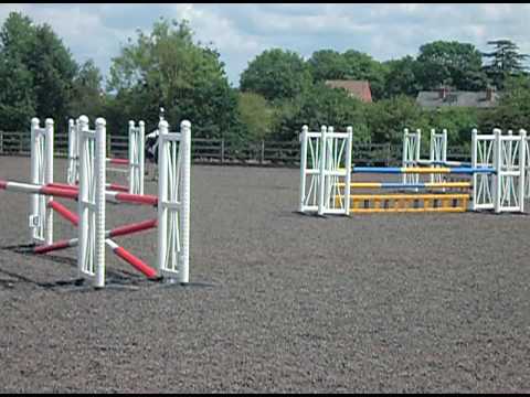 Badger BSJA at Allenshill - Newcomers ♥ - YouTube