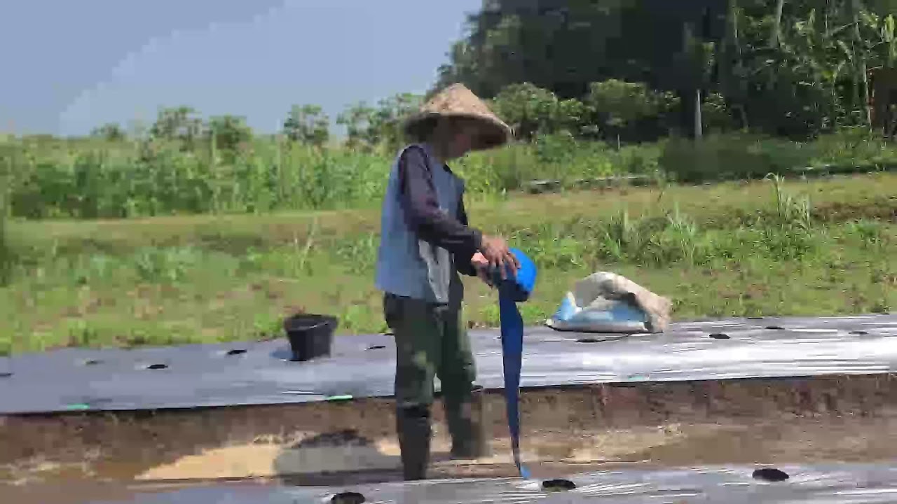 Simple Smart Tricks Easy Garden Agriculture Hose Rolling Process ...