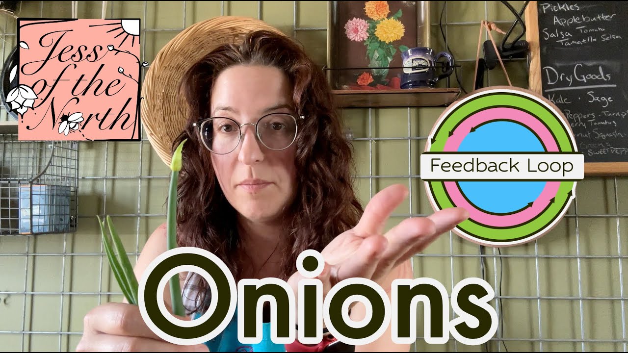 Onions | Feedback Loop - YouTube