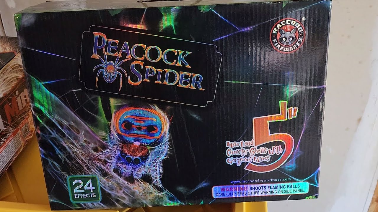 2023 Peacock Spider 5" Canister Shells by Raccoon Fireworks - YouTube