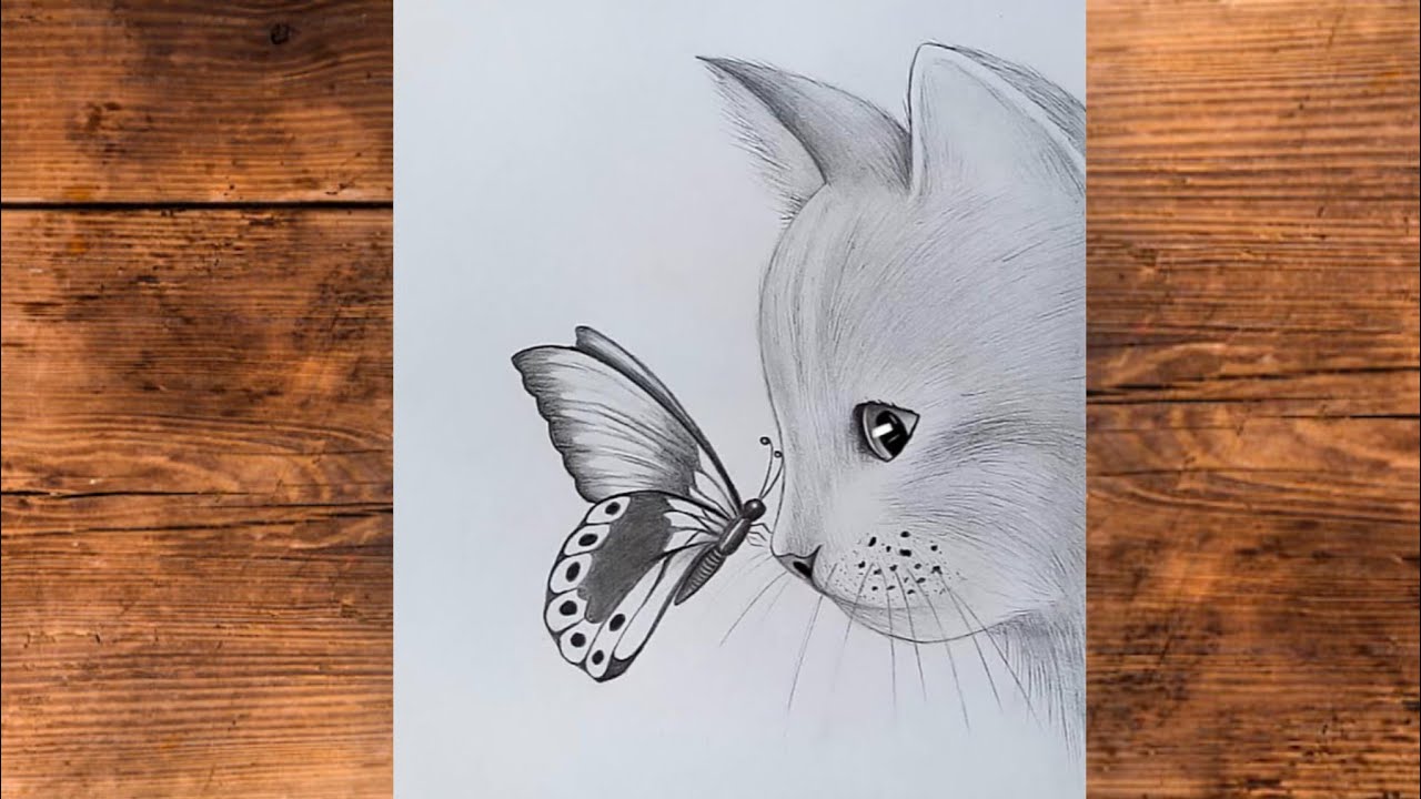 How to Draw a Cat with Butterfly - Pencil Sketch for Beginners ...