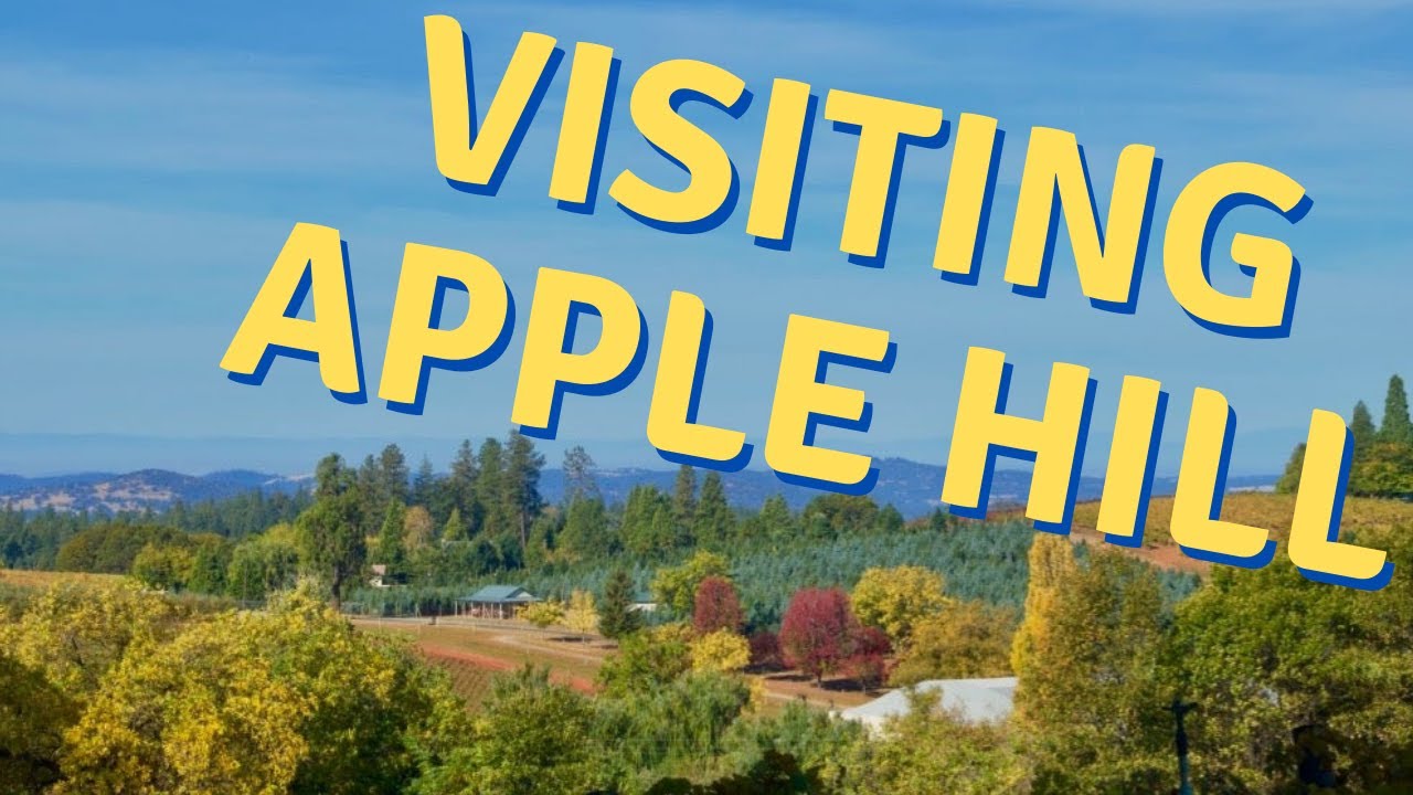 Apple Hill, CA - Visiting Apple Hill in Northern California Fall 2020 ...