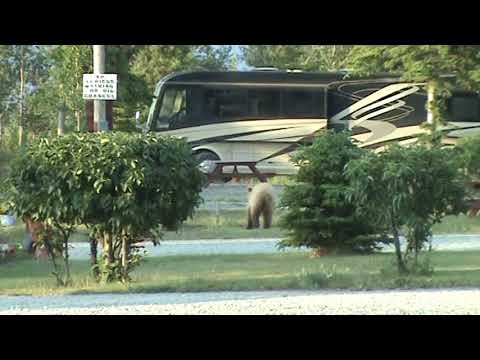 GRIZZ KIDS PLAYING YUKON PART 1 - YouTube