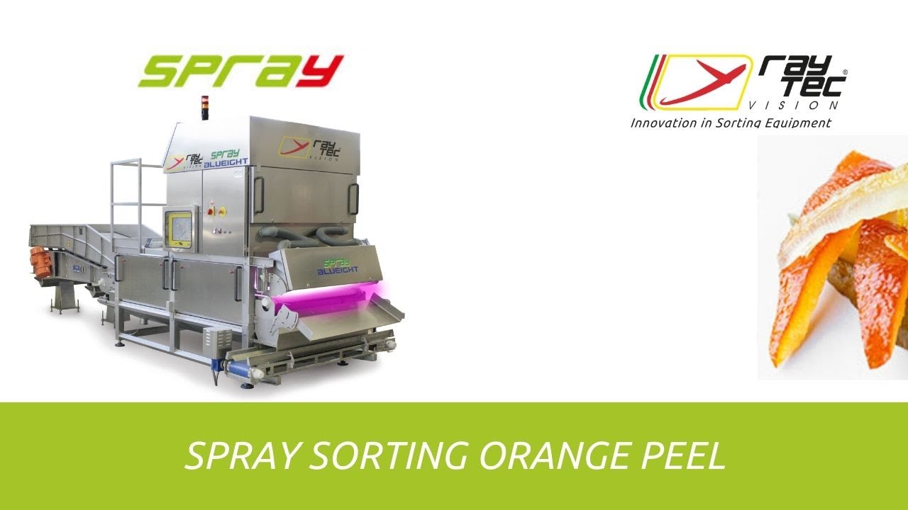 Spray optical sorting machine for orange peel | Raytec Vision - YouTube
