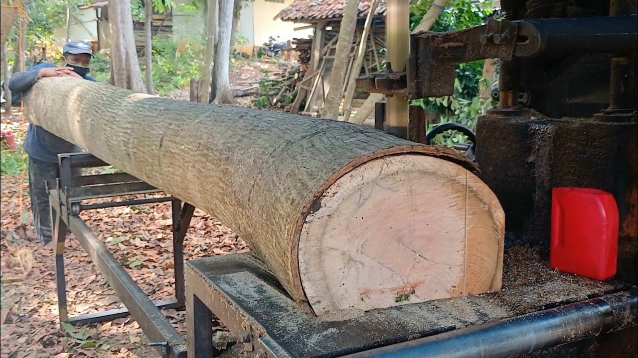 4 Meter kayu Waru Gunung-Di Libas Gergaji Bandsaw Rakitan - YouTube
