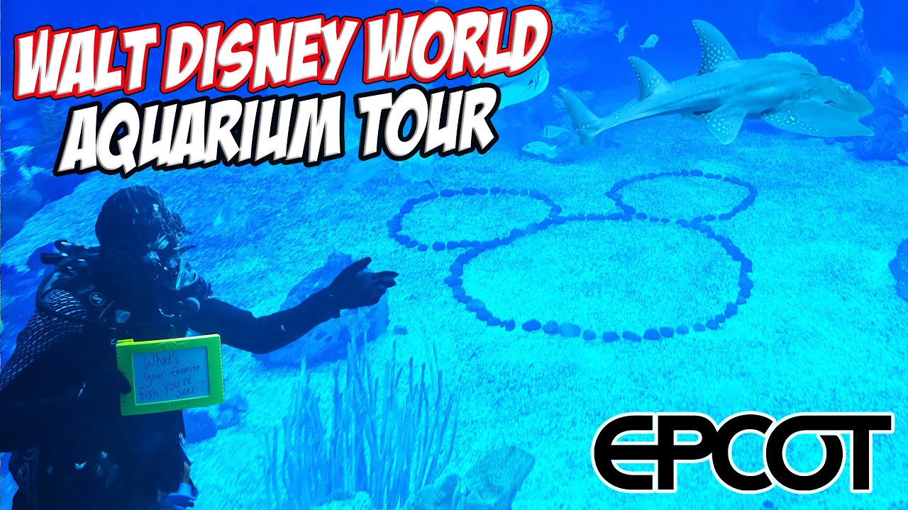 SeaBase Underwater World Aquarium at EPCOT Walt Disney World (Feb 2024 ...