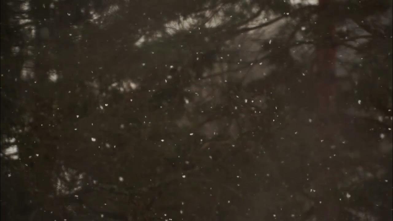 Luna Dream - Coffee (Official Visualizer ) - YouTube