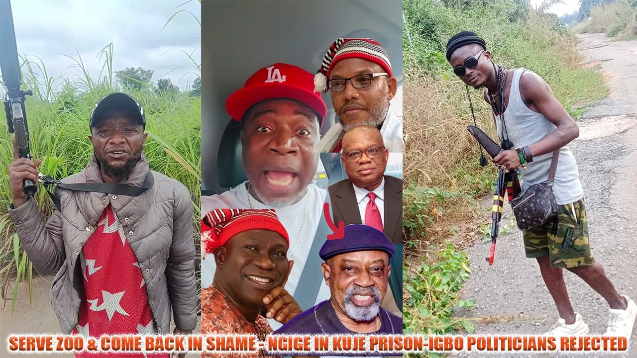 MNK IS RIGHT! SERVE ZOO & COME BACK IN SHAME, NGIGE JAILED - NONSO NKWA ...
