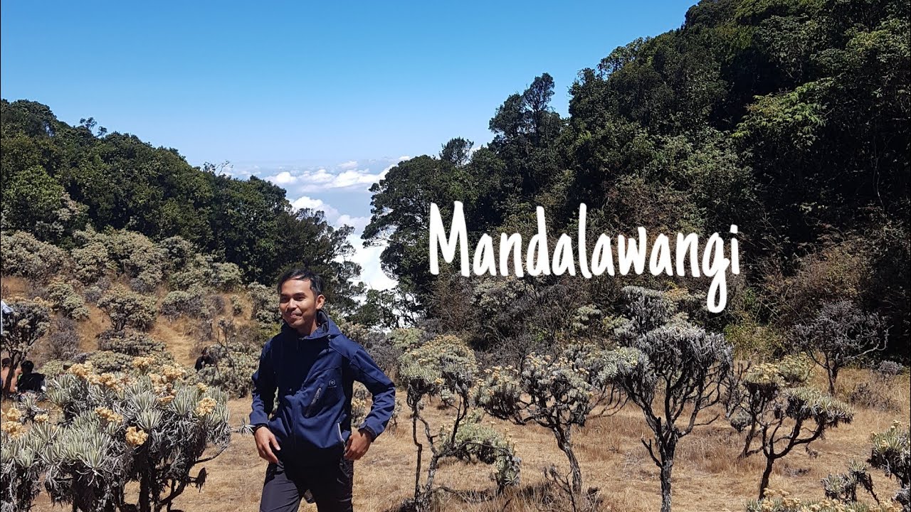 Gunung Pangrango | Part 2 | Akhirnya Summit ke Puncak | Taman ...