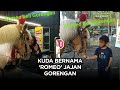 Kocak! Seekor kuda berlari jajan gorengan, warganet: bosan makan rumput ...