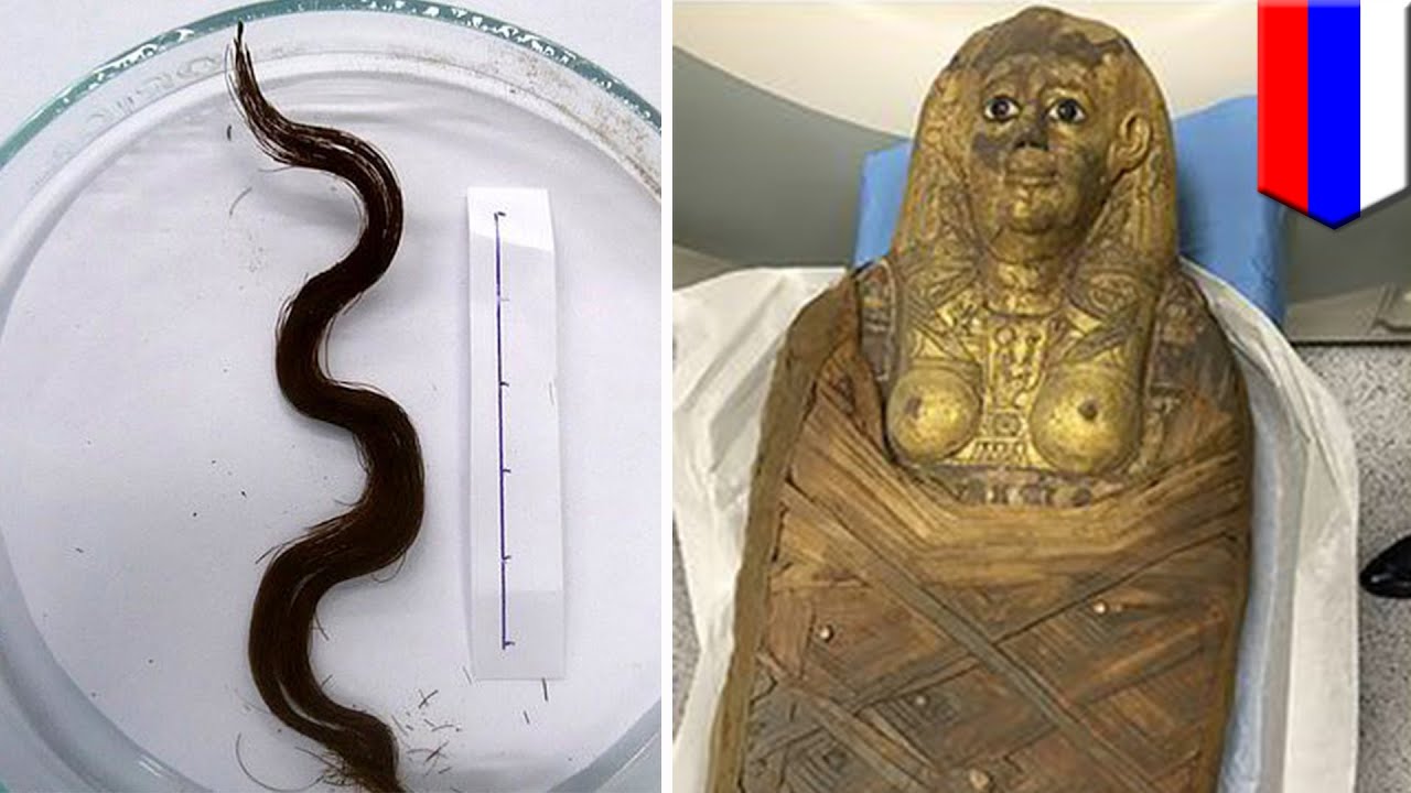 Ancient Egyptian curls found preserved after 3,000 years - TomoNews ...