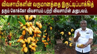 விவசாயிகளின் வருமானத்தை இருட்டிப்பாக்கித் தரும் கொக்கோ விவசாயம் பற்றி  விவசாயின் அனுபவம்.cocoa plant