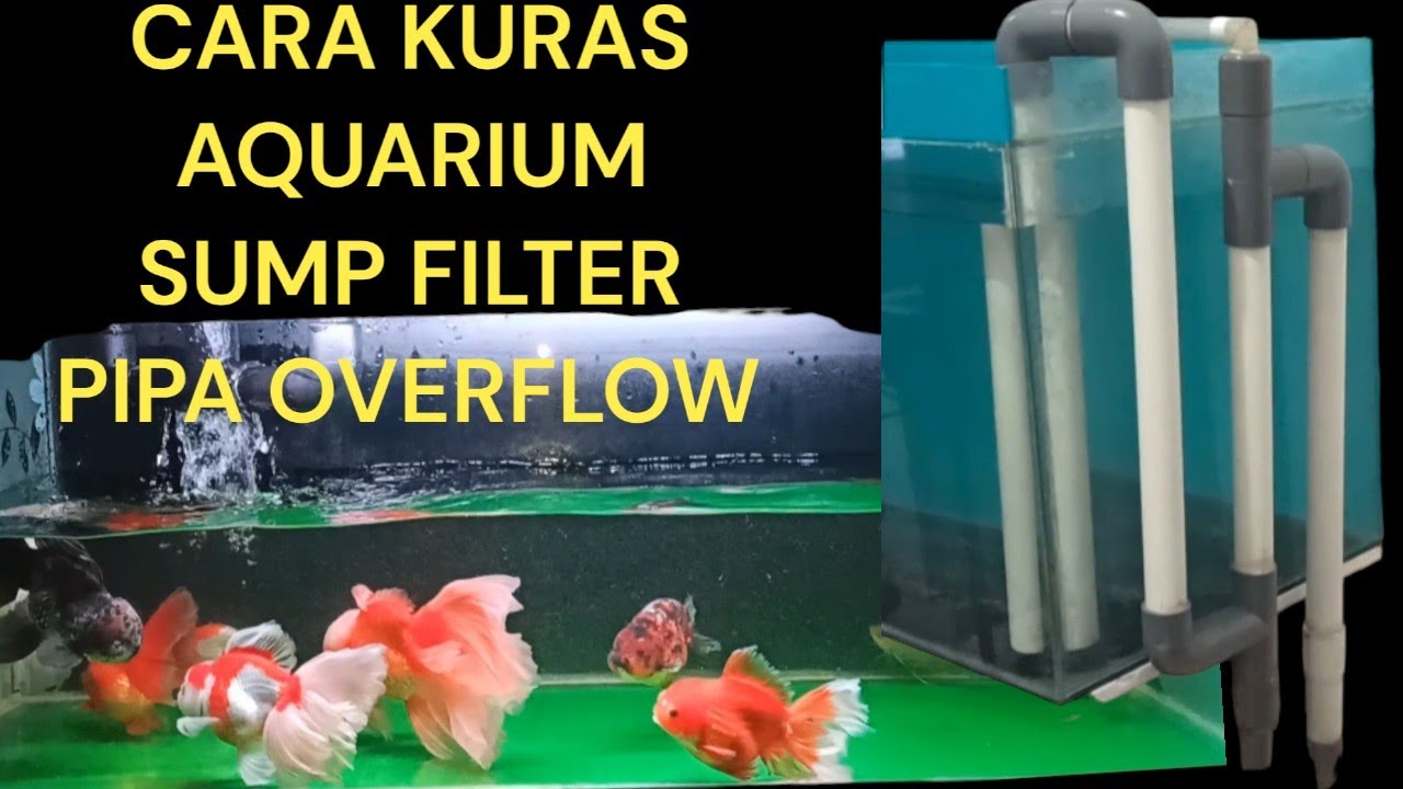 CARA KURAS AQUARIUM SUMP FILTER PIPA OVERFLOW - YouTube