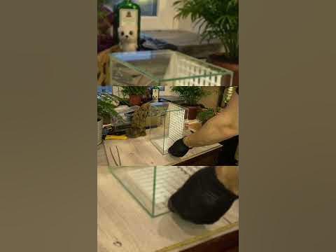 Full video already on my channel #florarium #terrarium #ecosystem # ...