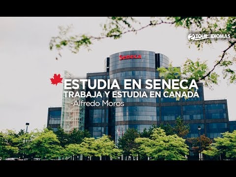 Seneca college, la mejor educación para tu futuro - YouTube