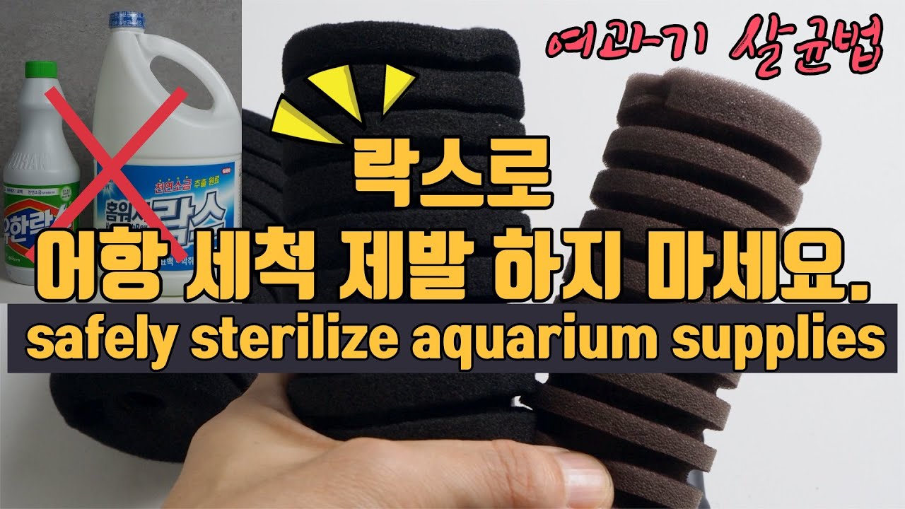 How to safely sterilize aquarium supplies including sponge filter/how ...