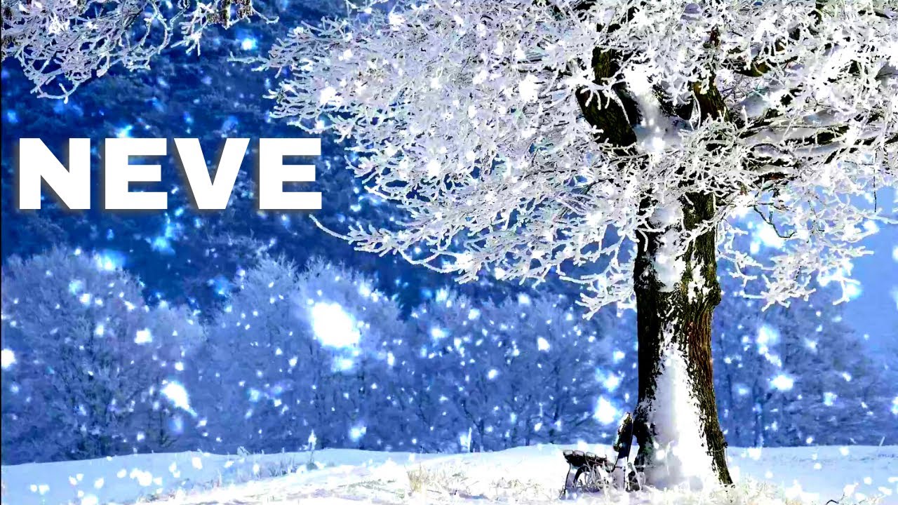 Natal com Paisagem de Flocos de Neve Caindo e Arvores Cobertas de Gelo ...