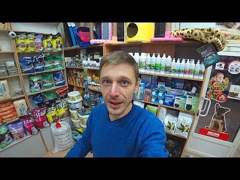 Зоомагазин - YouTube