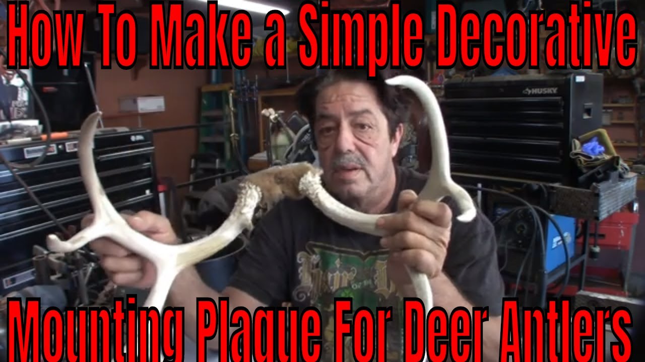How To Mount Deer Antlers With Basic Tools - DIY - YouTube