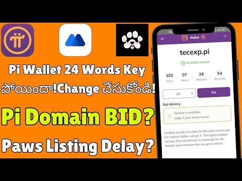 Pi Wallet Address Change|Pi Domains Auction|Pi Forfeited And Penalties ...