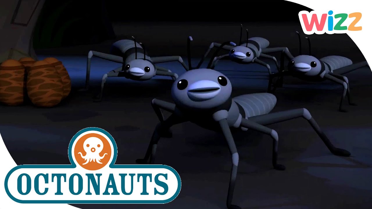@Octonauts | The Mysterious Tree Lobsters 🔍 | Wizz | Cartoons for Kids ...