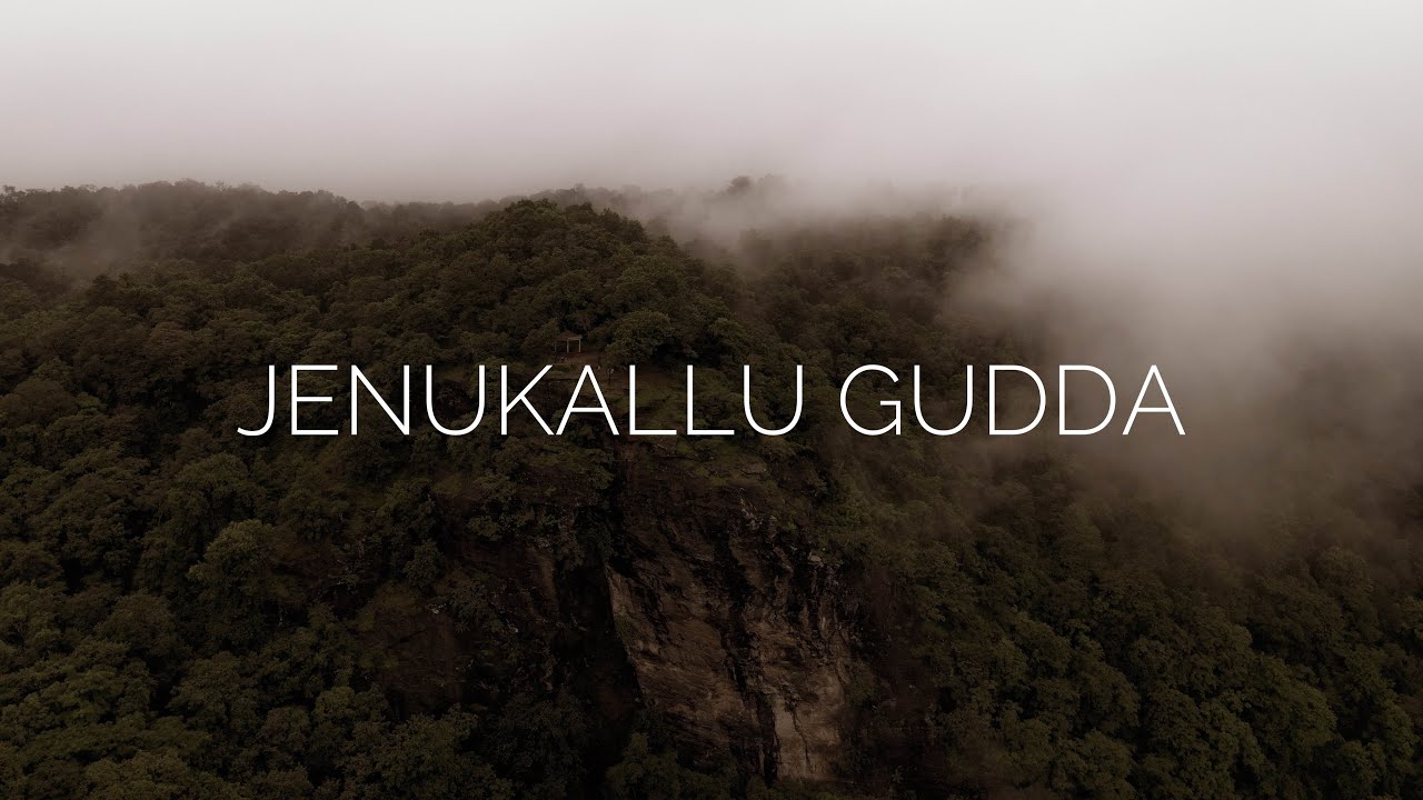 Jenukallu Gudda | Wild Karnataka | 4K - YouTube