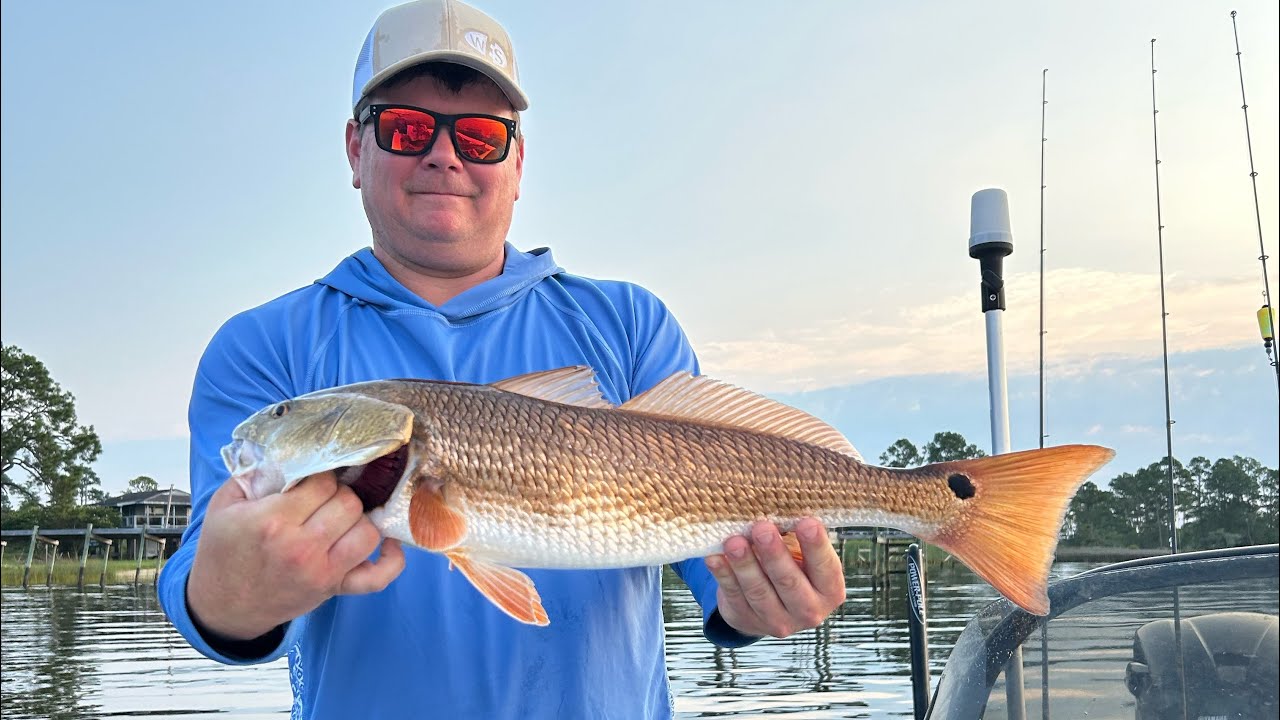 Early morning catching redfish in Pensacola Florida. - YouTube
