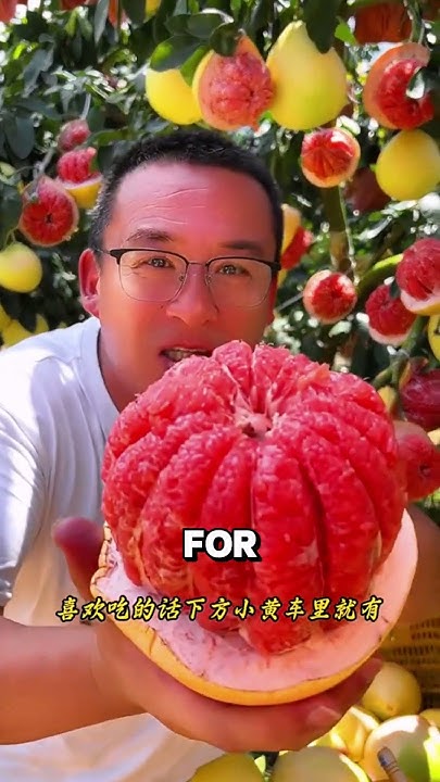 Pomelo Power: Why Gen Z Is Addicted! 🍈🔥 #GlowUp - YouTube