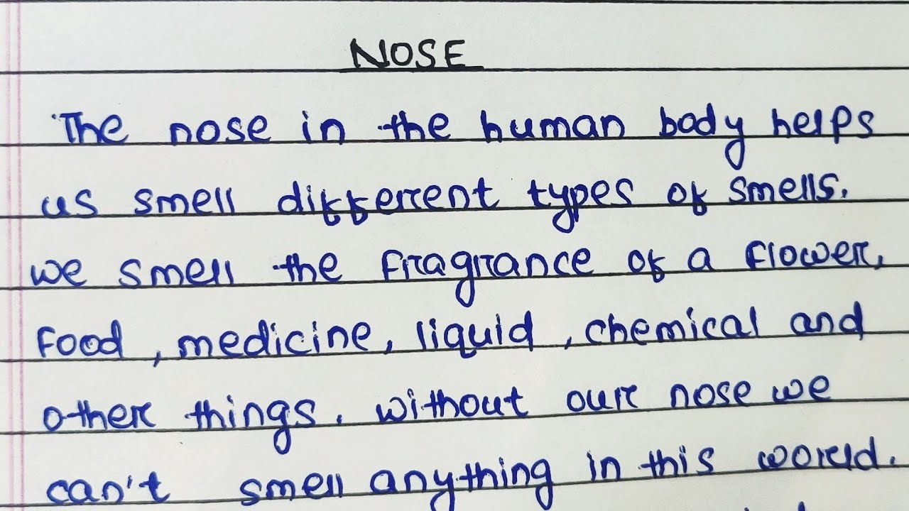 Nose is very important Part of ou body / paragraph writting about Nose ...