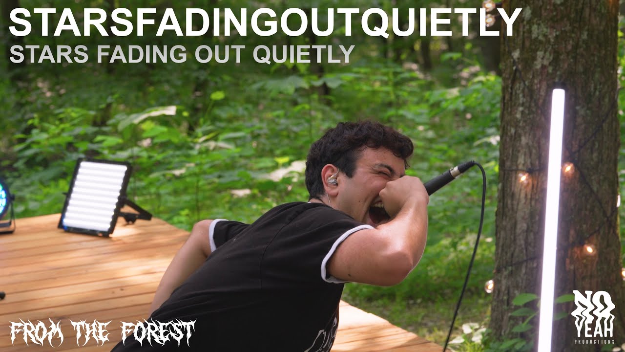 starsfadingoutquietly - stars fading out quietly | From The Forest ...