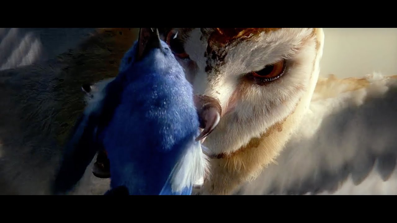 Legend Of The Guardians - The Blue Bird - YouTube