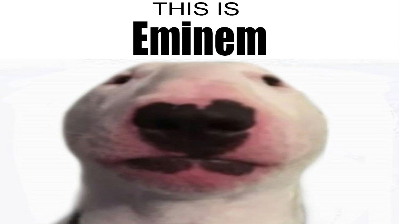 Shitpost Compilation V17 - YouTube